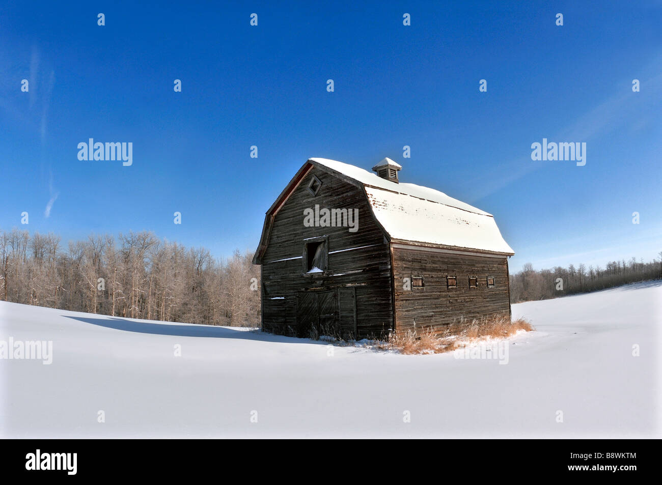 Alberta agriculture barn farm farming hi-res stock photography and ...