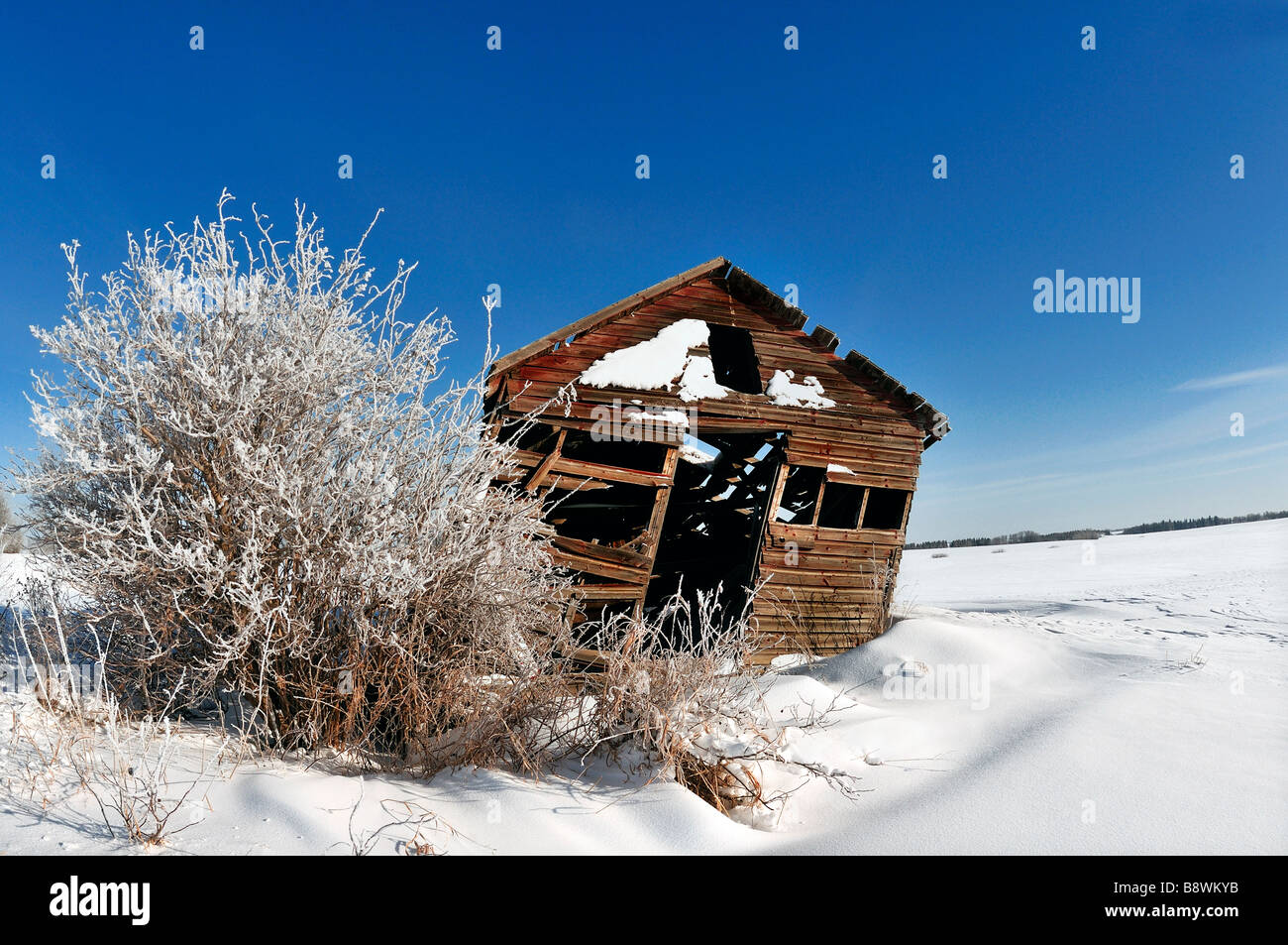 Shed falling down hi-res stock photography and images - Alamy