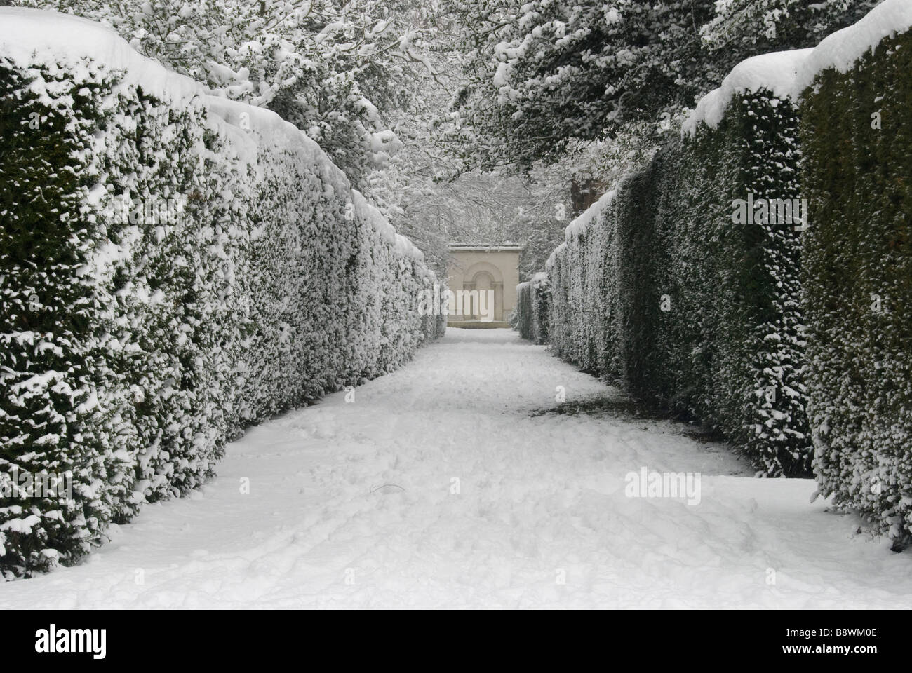 Snowy hedge lined path in Chiswick Park Gardens Stock Photo - Alamy
