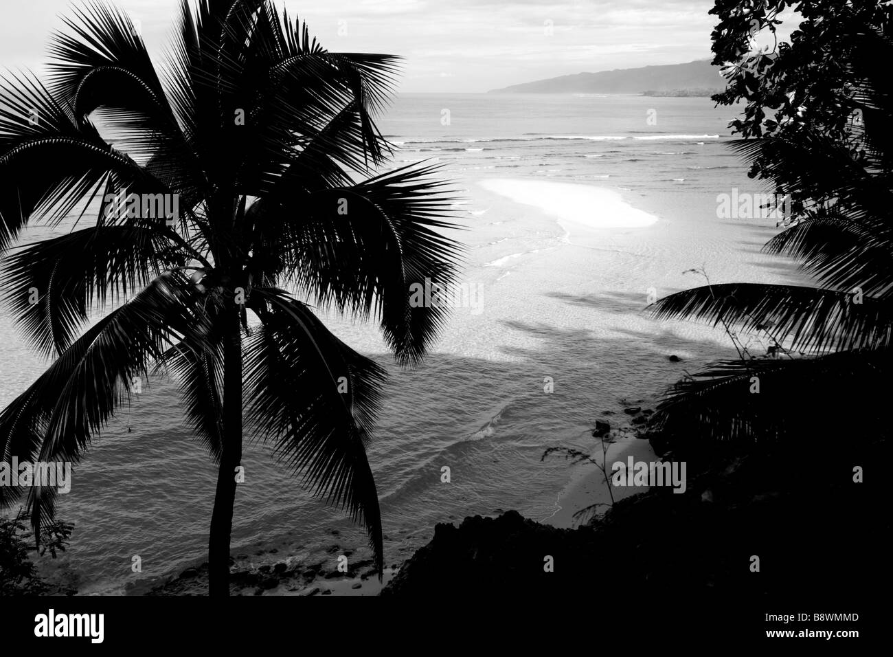Comoros, Anjouan, Moya. Coconut trees, beach Stock Photo - Alamy