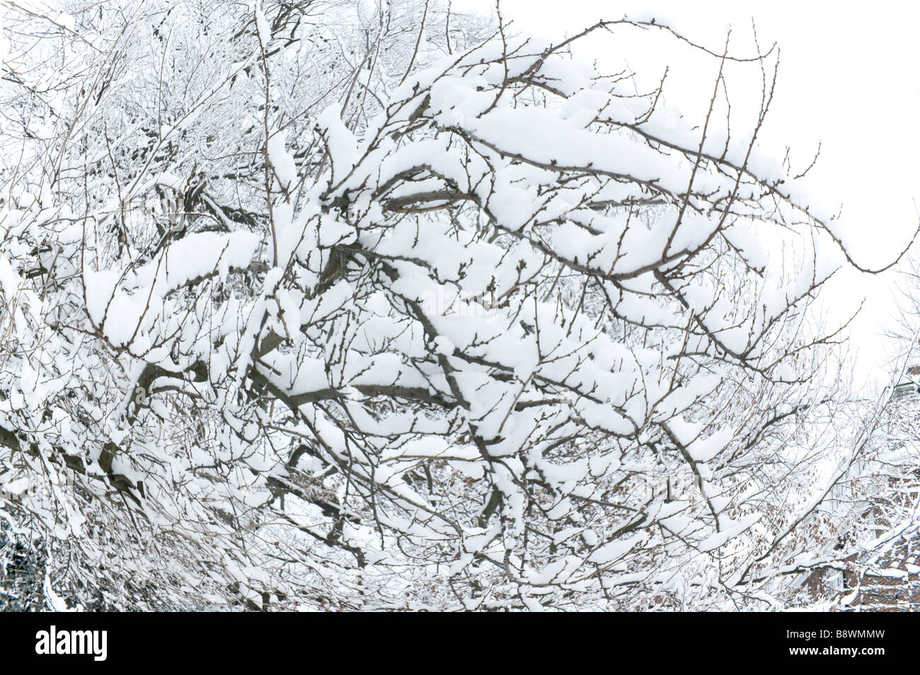 Unusual heavy snowfall hi-res stock photography and images - Alamy