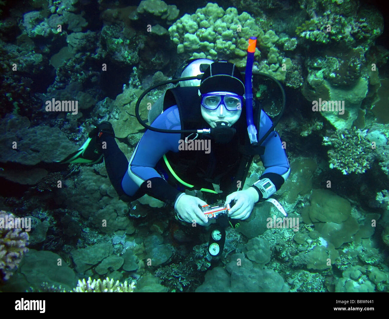 diver in deep with camera underwater photographer Stock Photo - Alamy