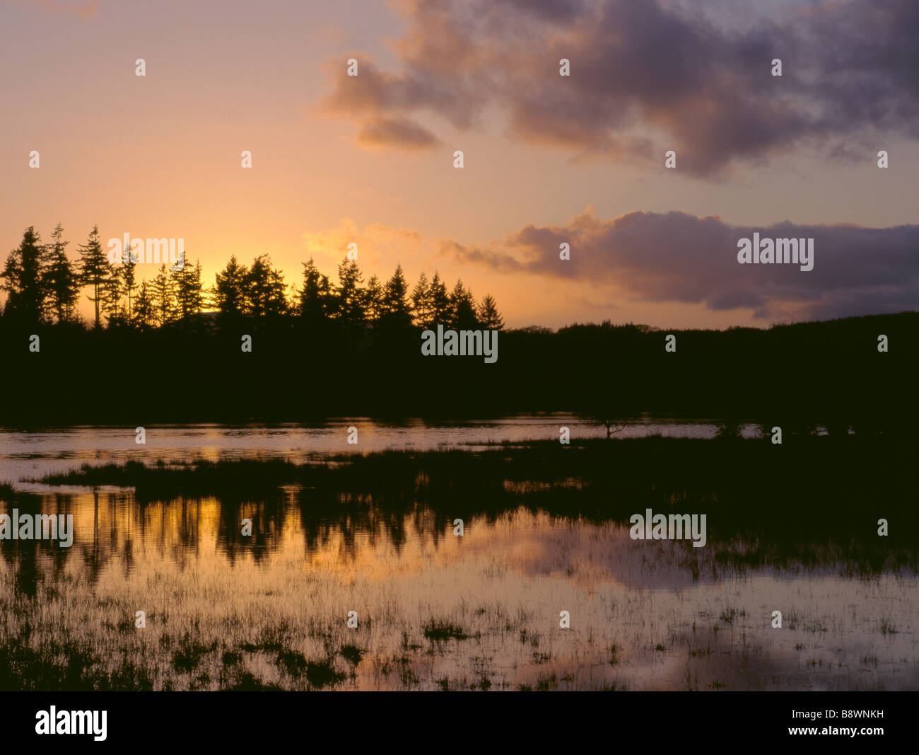 Loch ken and dumfries hi-res stock photography and images - Alamy