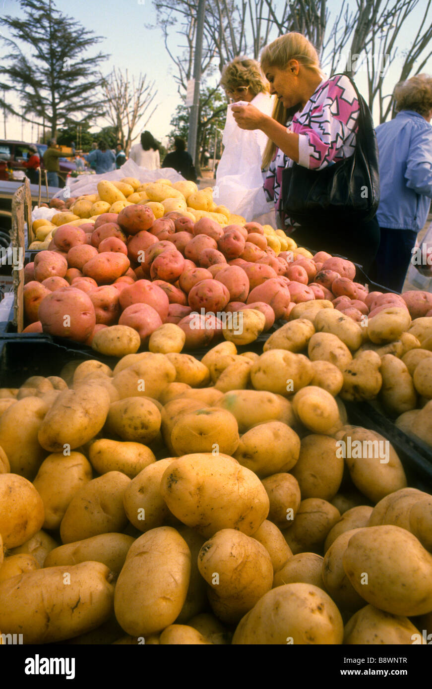 Spud fruit High Resolution Stock Photography and Images - Alamy