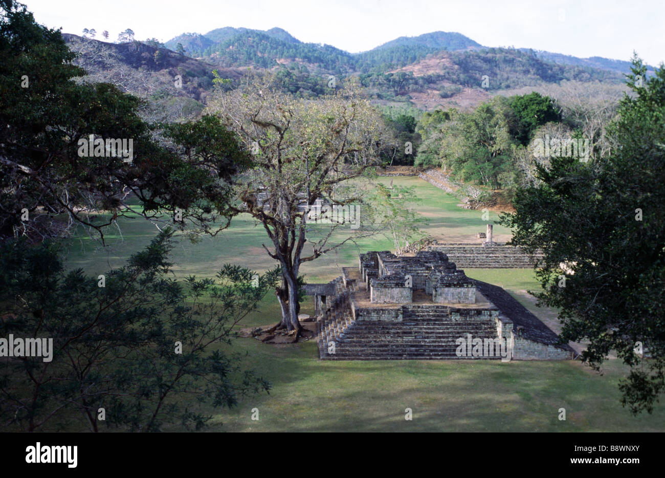 Pyramid 16 in the Mayan ruins at Copan in Honduras Stock Photo - Alamy