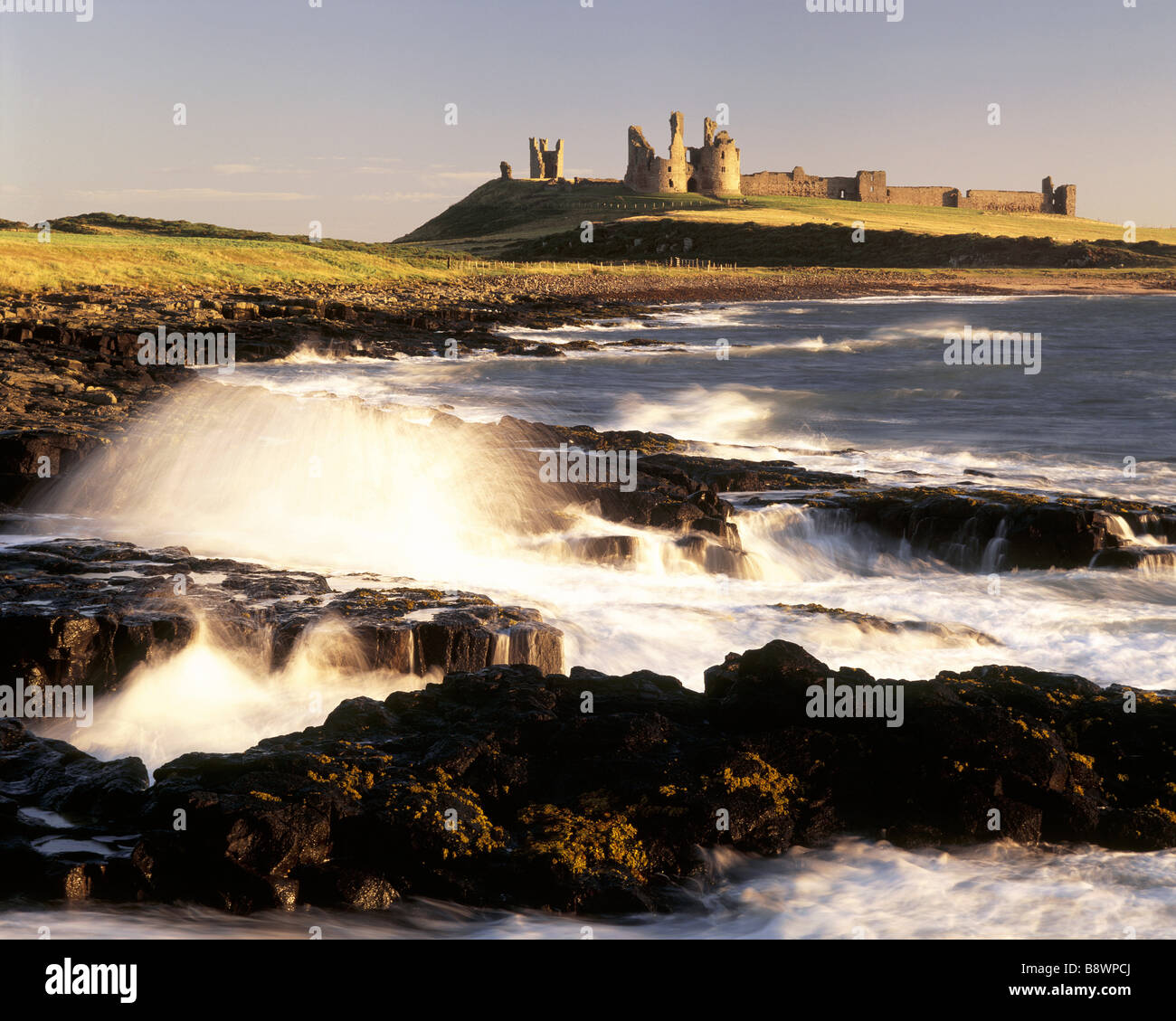 The ruins of Dunstanburgh Castle catching the setting sun with waves ...