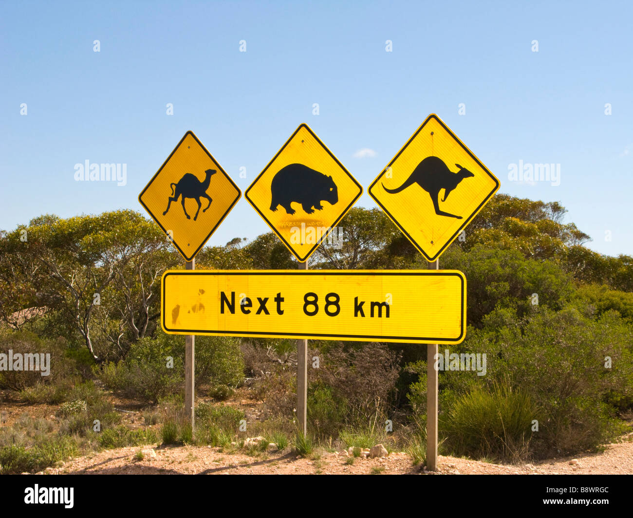 Famous signpost on the Nullarbor Stock Photo - Alamy