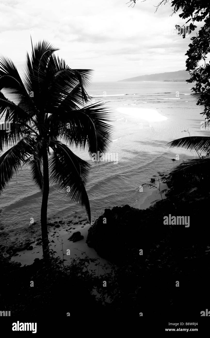 Comoros, Anjouan, Moya. Coconut trees, beach, sandbar Stock Photo - Alamy