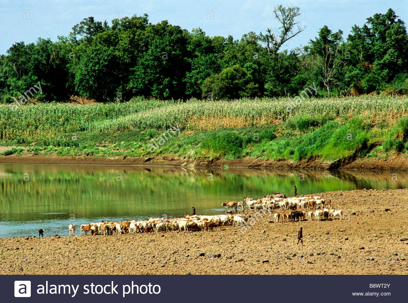 Gamo Gofa Stock Photos & Gamo Gofa Stock Images - Alamy