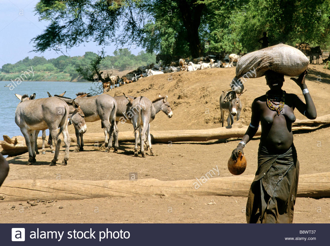 Gamo Gofa Stock Photos & Gamo Gofa Stock Images - Alamy