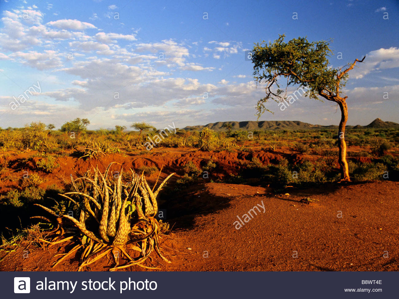 Gamo Gofa Stock Photos & Gamo Gofa Stock Images - Alamy