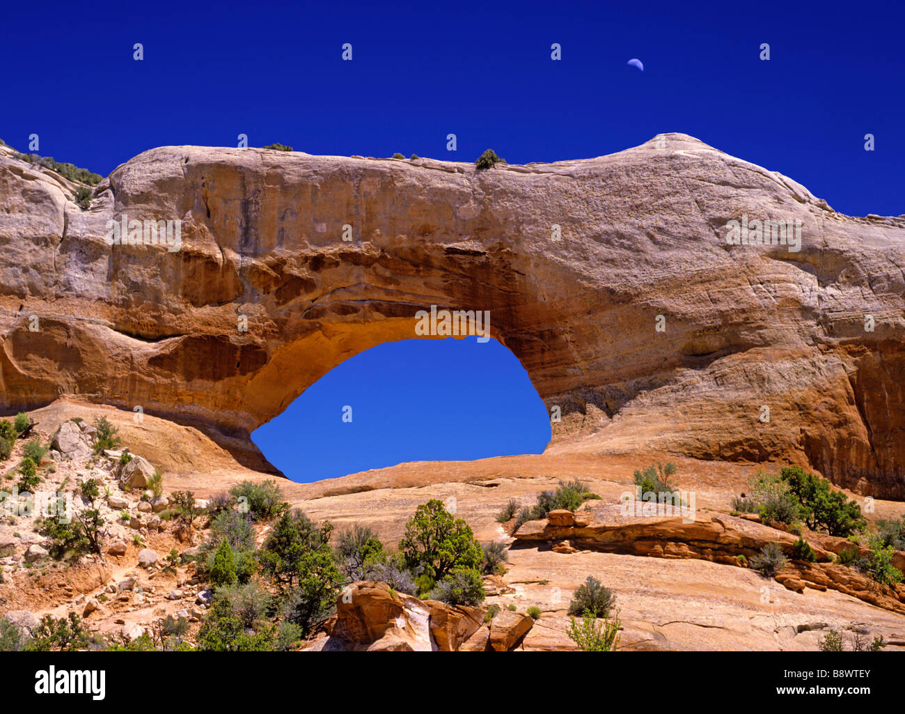 Wilson Arch USA Stock Photo - Alamy