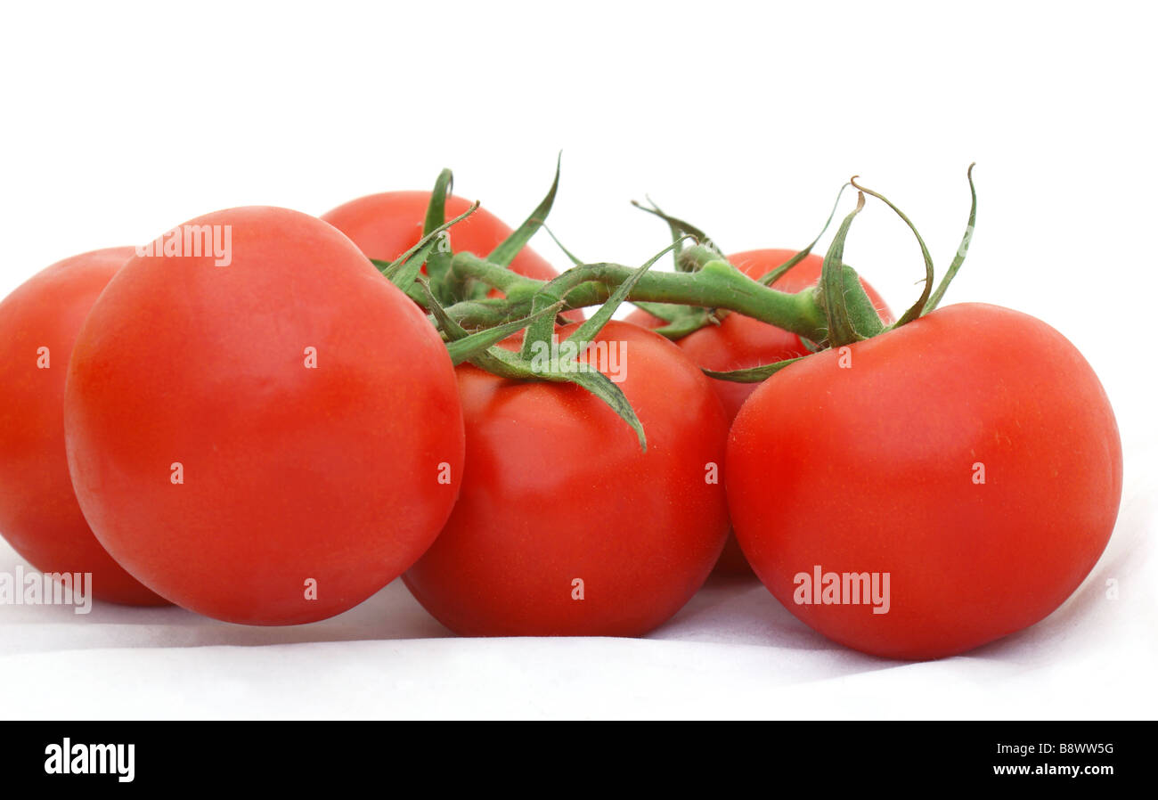 Ripe tomatoes on the vine Stock Photo - Alamy