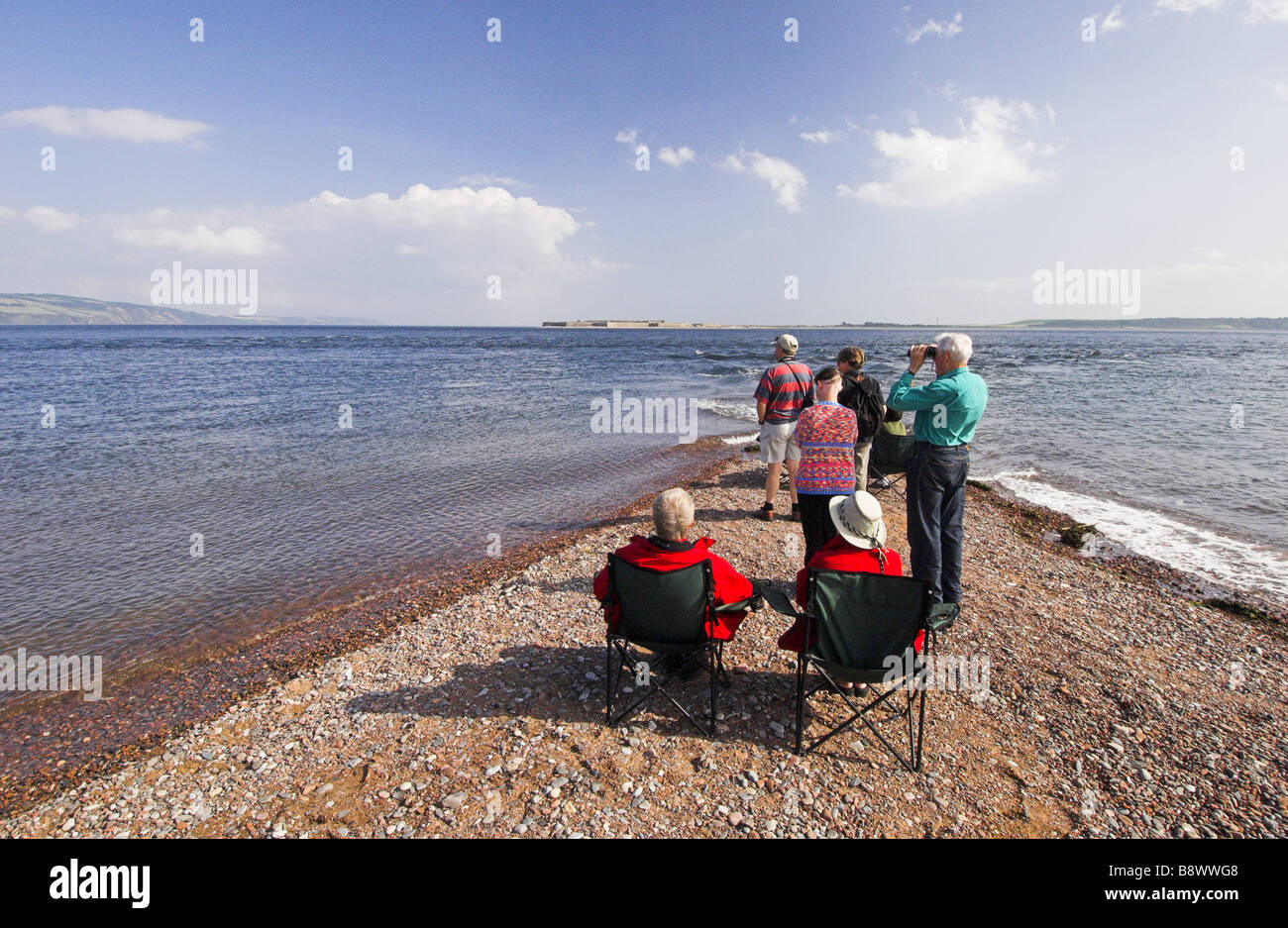Dolphin watching nature tourism hi-res stock photography and images - Alamy