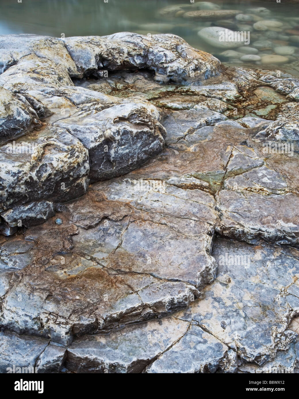 Limestone shelf hi-res stock photography and images - Alamy