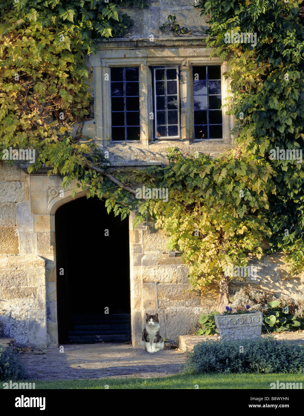Batemans Entrance High Resolution Stock Photography and Images - Alamy