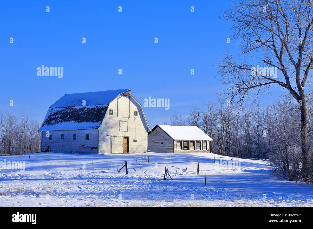 Canada prairie barn winter hi-res stock photography and images - Alamy