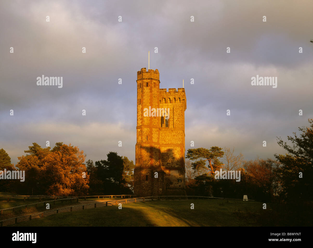Leith Hill Summit & Tower Stock Photo - Alamy