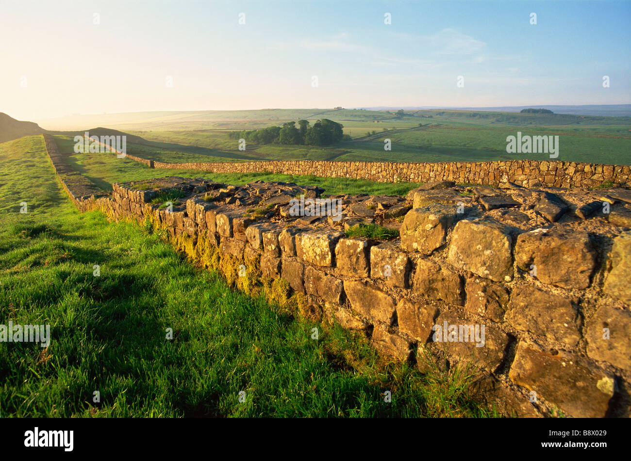 Ruins of a stone wall in a field, Hadrian's Wall, Northumbria, England ...