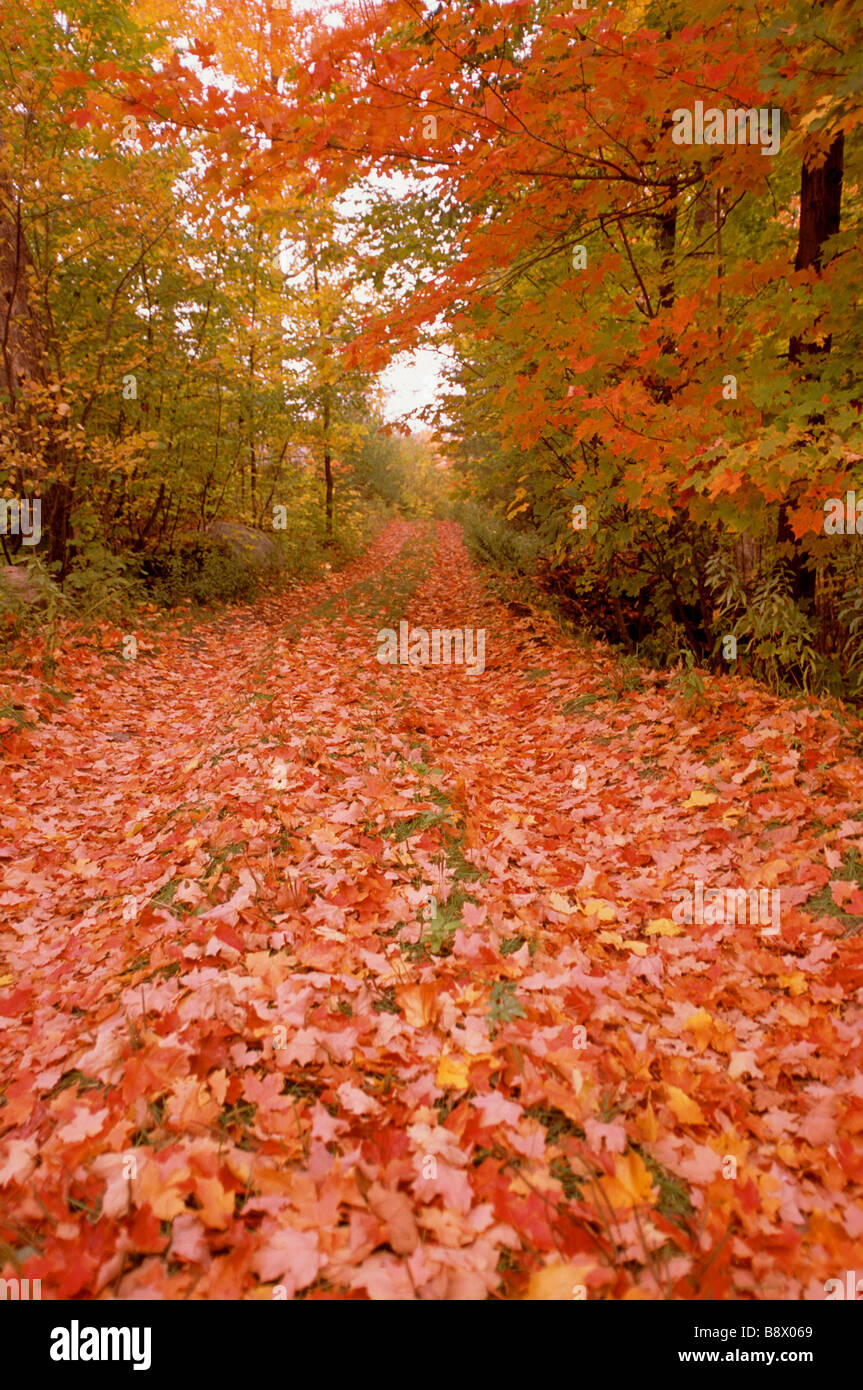 Red covering on walkway hi-res stock photography and images - Alamy