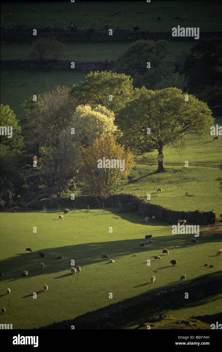 Bucolic photos hi-res stock photography and images - Alamy