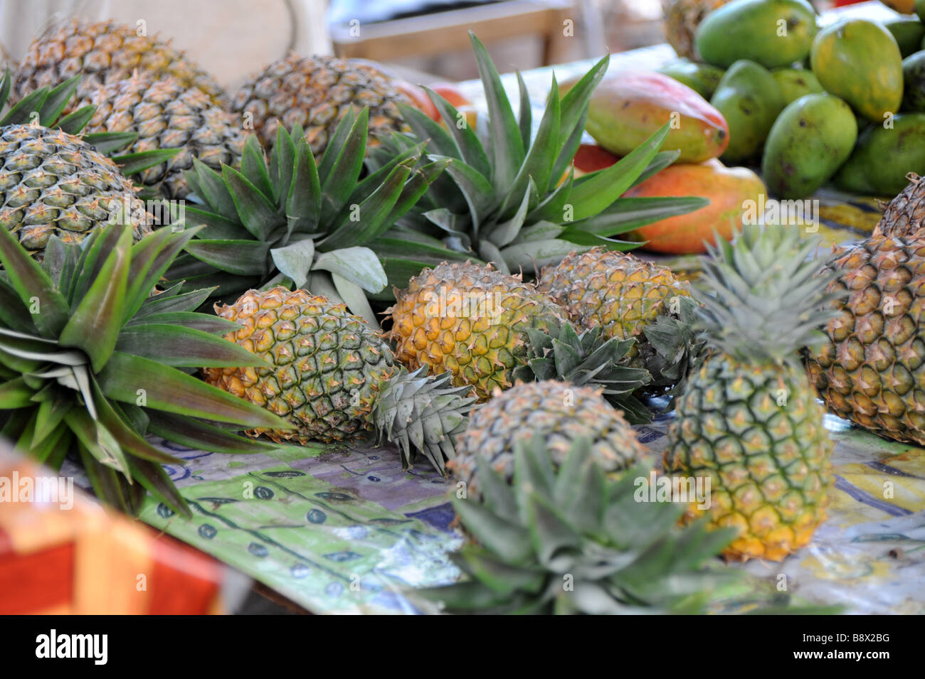 Mango pine hi-res stock photography and images - Alamy