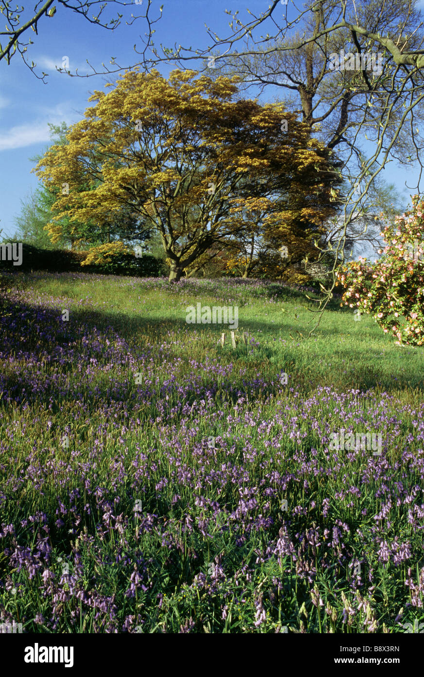 English garden influence europe hi-res stock photography and images - Alamy