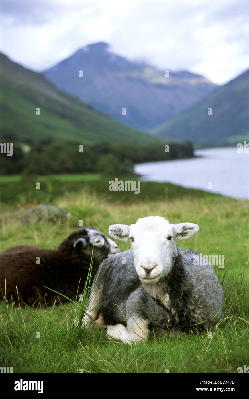 Uinited hi-res stock photography and images - Alamy