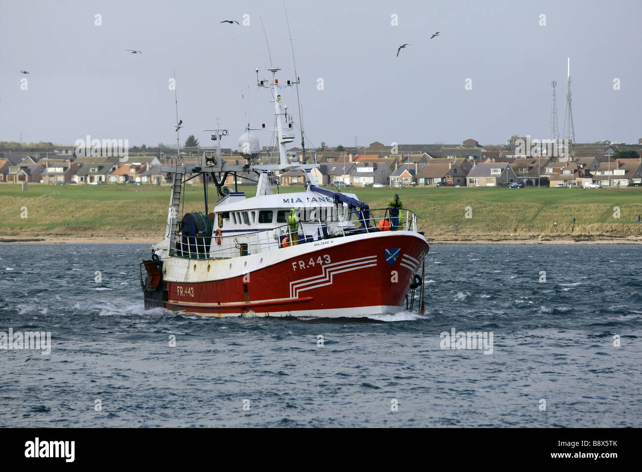 Scotland trawler fish catch hi-res stock photography and images - Alamy