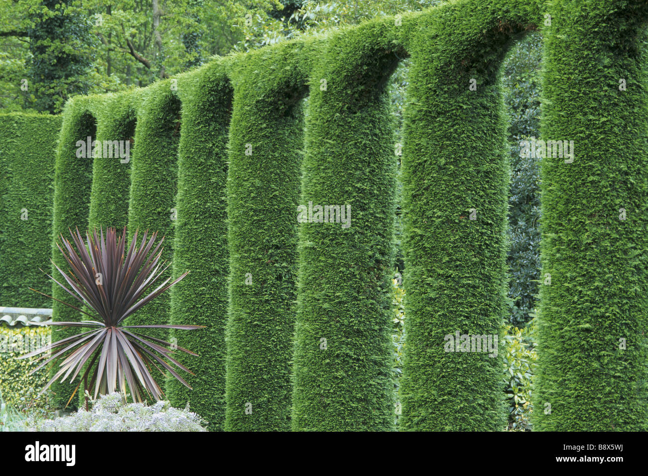View of topiary arches in the Spanish Garden at Mount Stewart Gardens ...