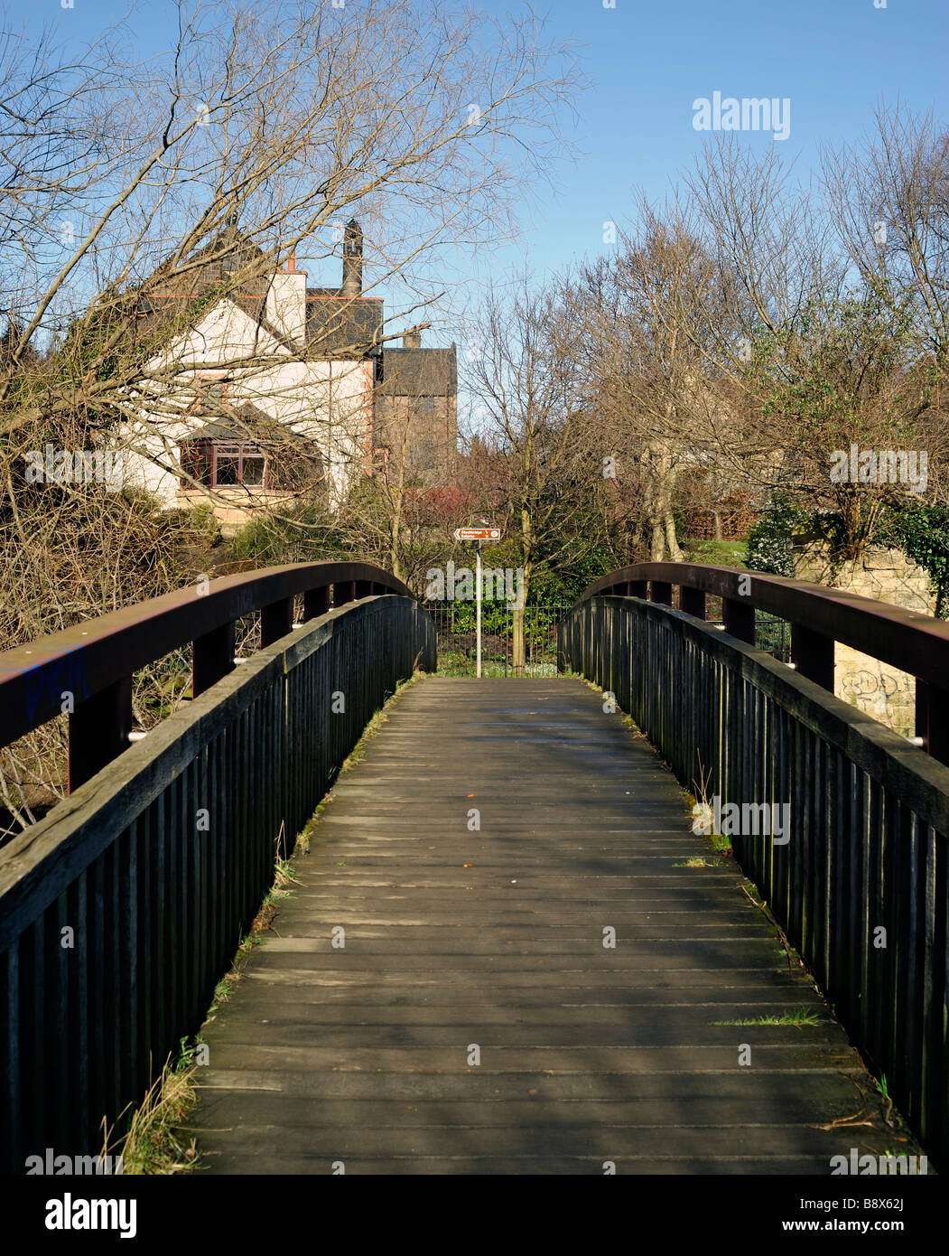 Tree trees bridge hi-res stock photography and images - Alamy