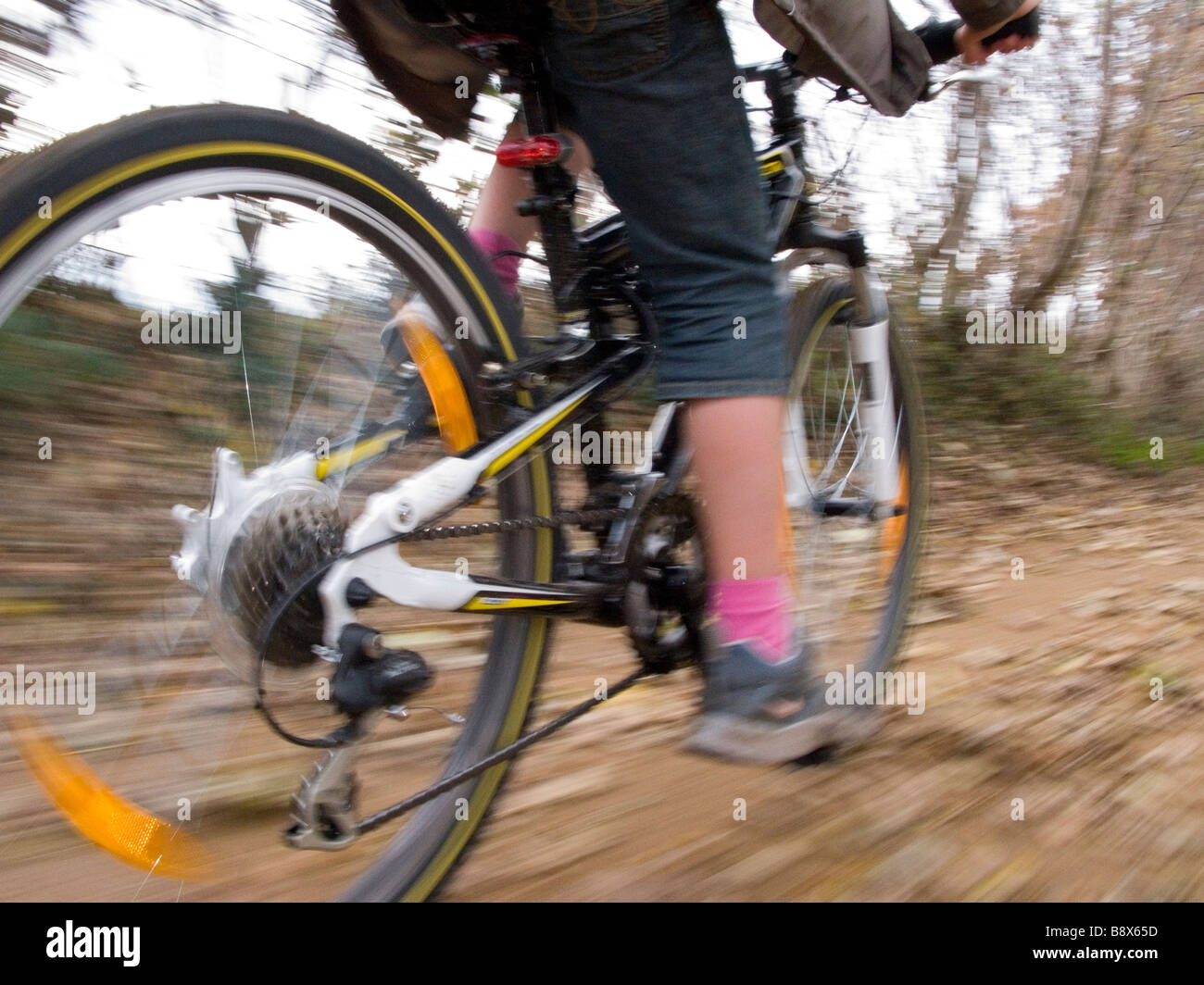 Young girl cycling her Mountain bike in the forest,woods movement and ...