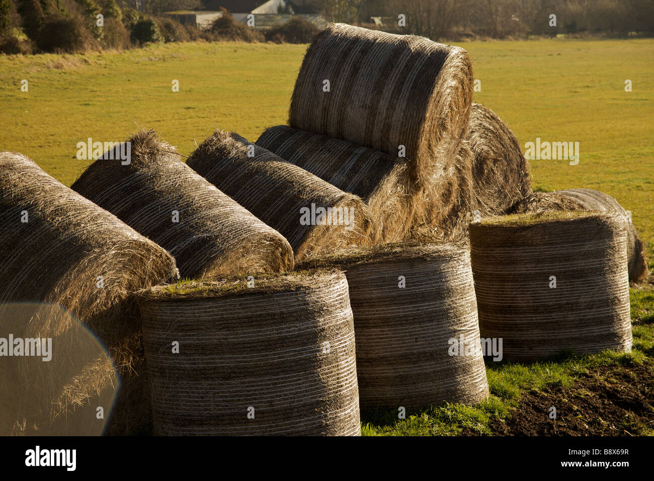 Bales of hay for animals hi-res stock photography and images - Alamy