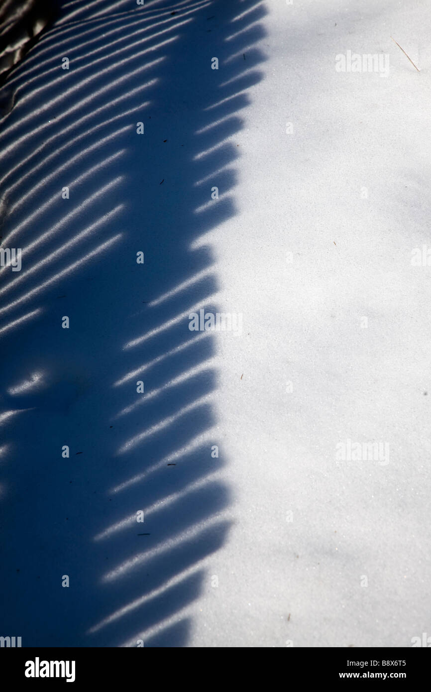 Shadows on snow Stock Photo - Alamy