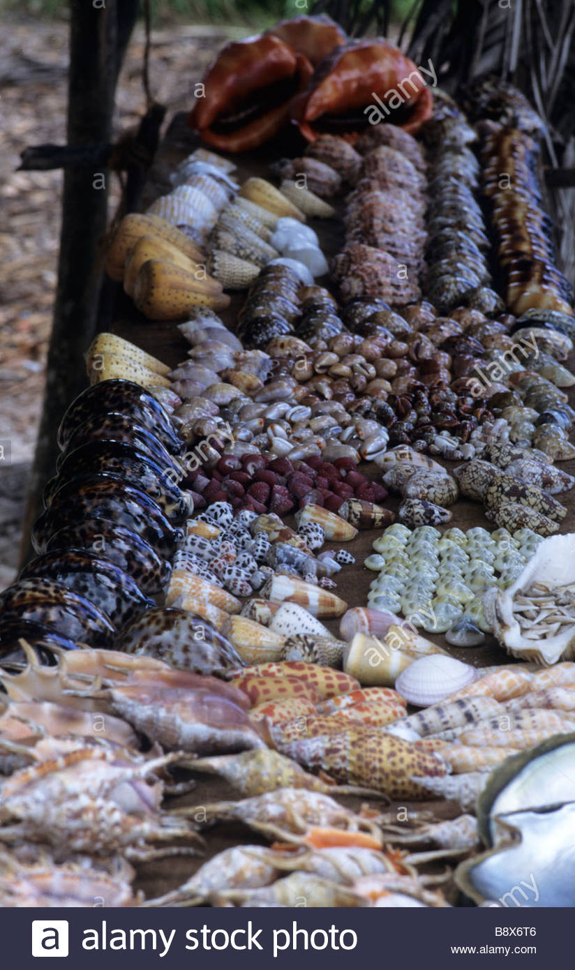Shells Africa High Resolution Stock Photography and Images - Alamy