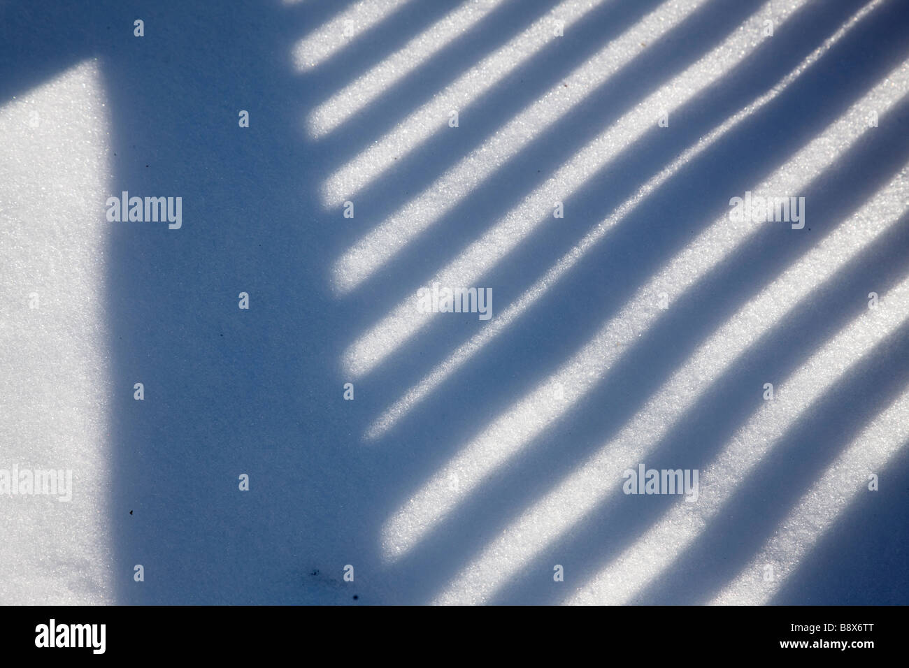 Shadows on snow Stock Photo - Alamy