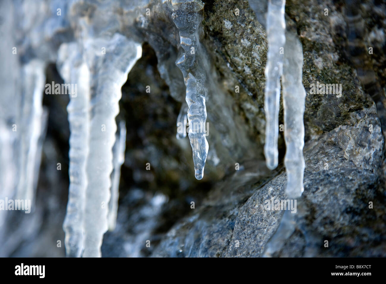 Icicles on the rock Stock Photo - Alamy