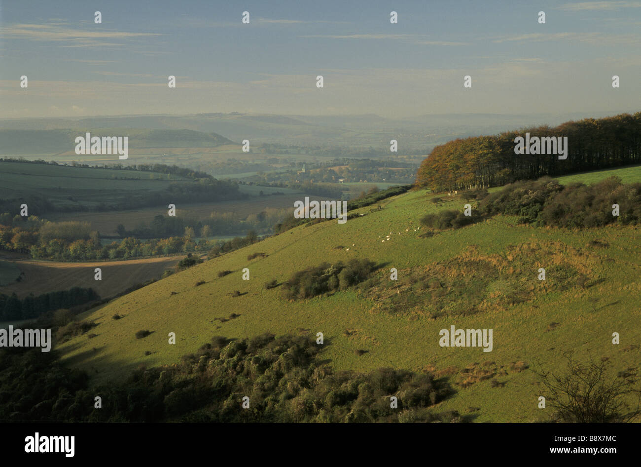 Melbury hi-res stock photography and images - Alamy