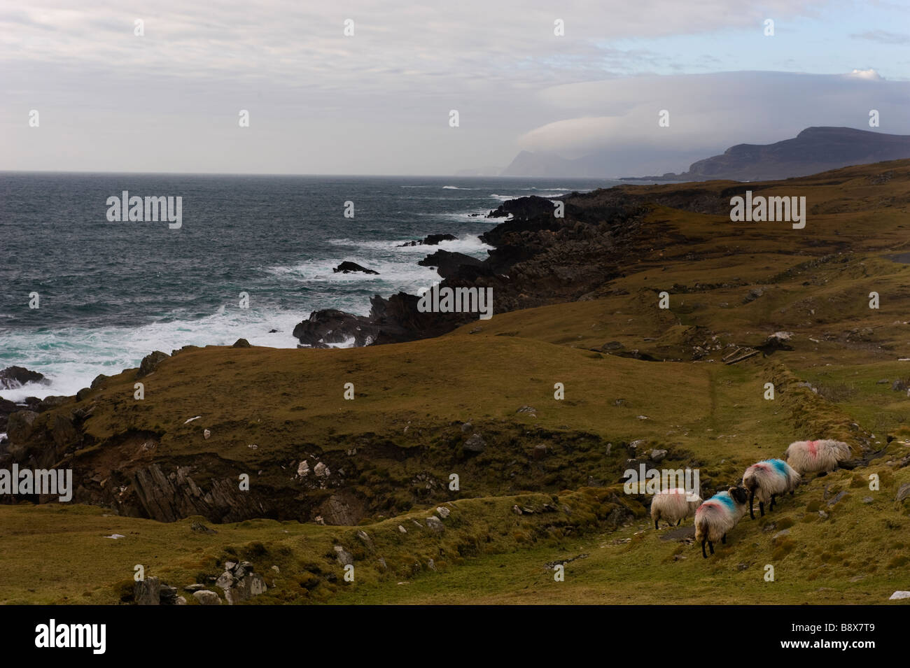 Atlantic Drive Achill Island Co Mayo Ireland Stock Photo - Alamy