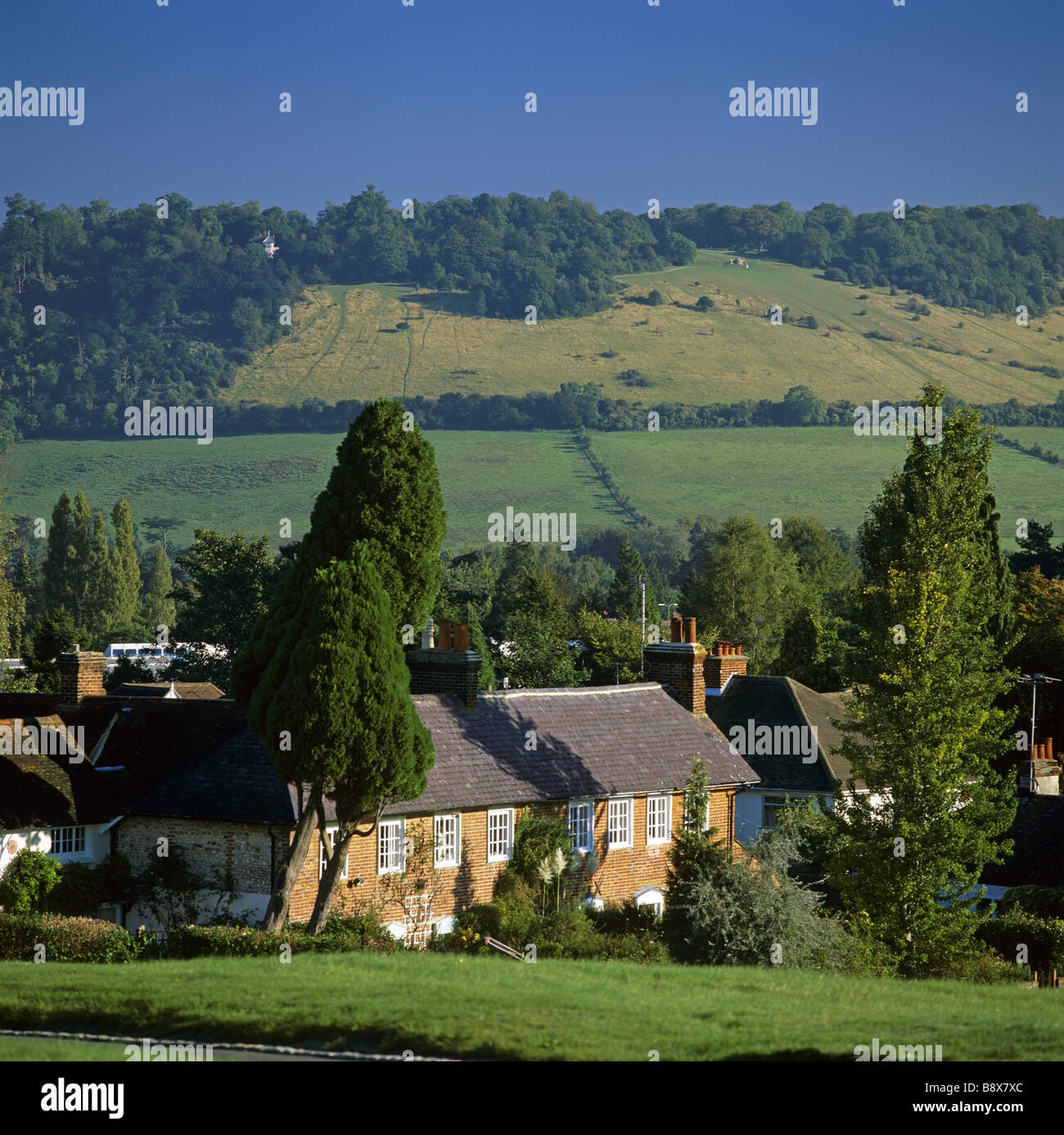 Looking up to Box Hill from Dorking Stock Photo - Alamy