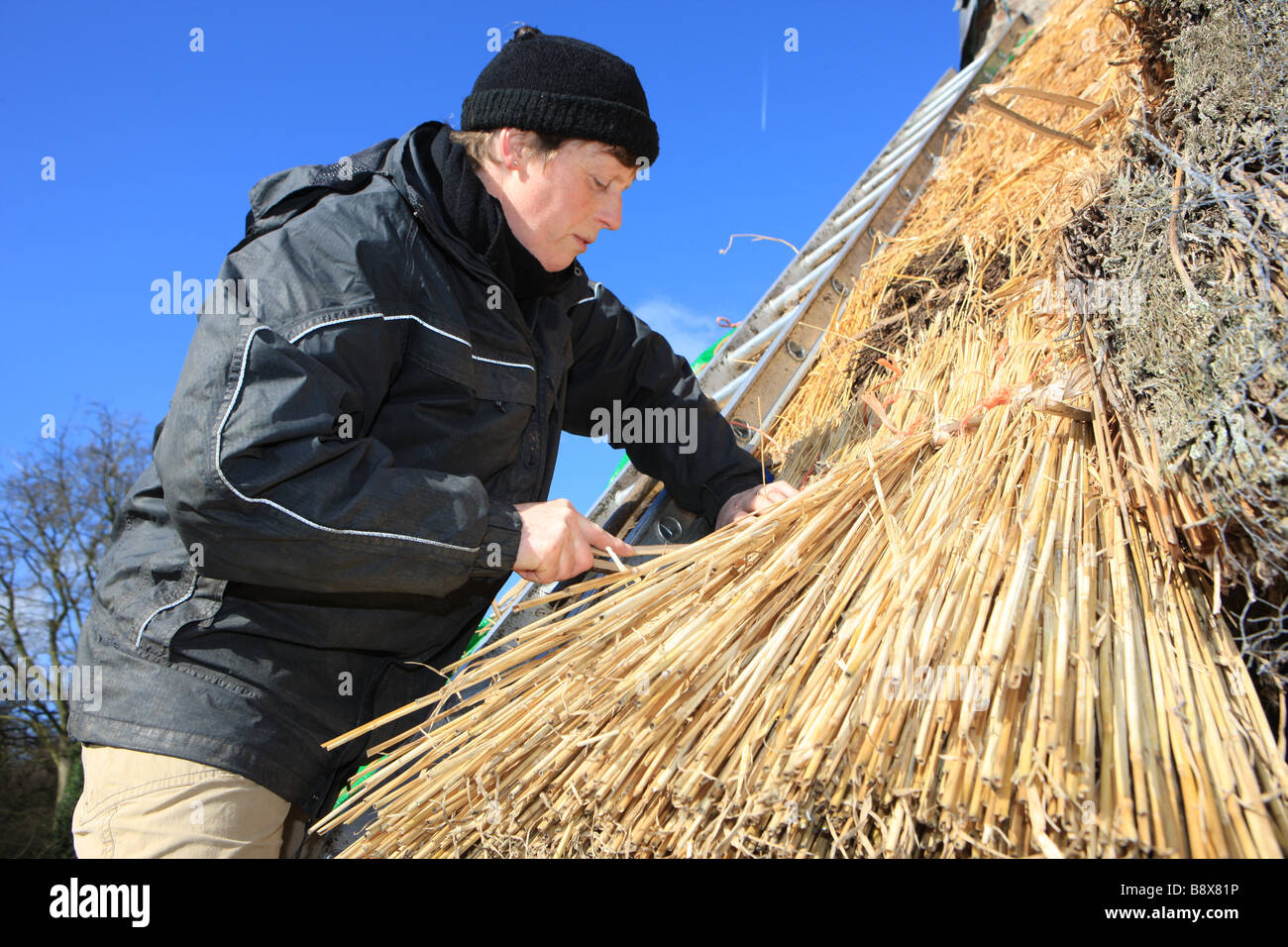 Kate Glover a master thatcher working on a roof near Newbury Stock ...