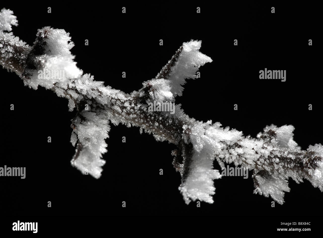 Hoar frost cold frozen hi-res stock photography and images - Alamy