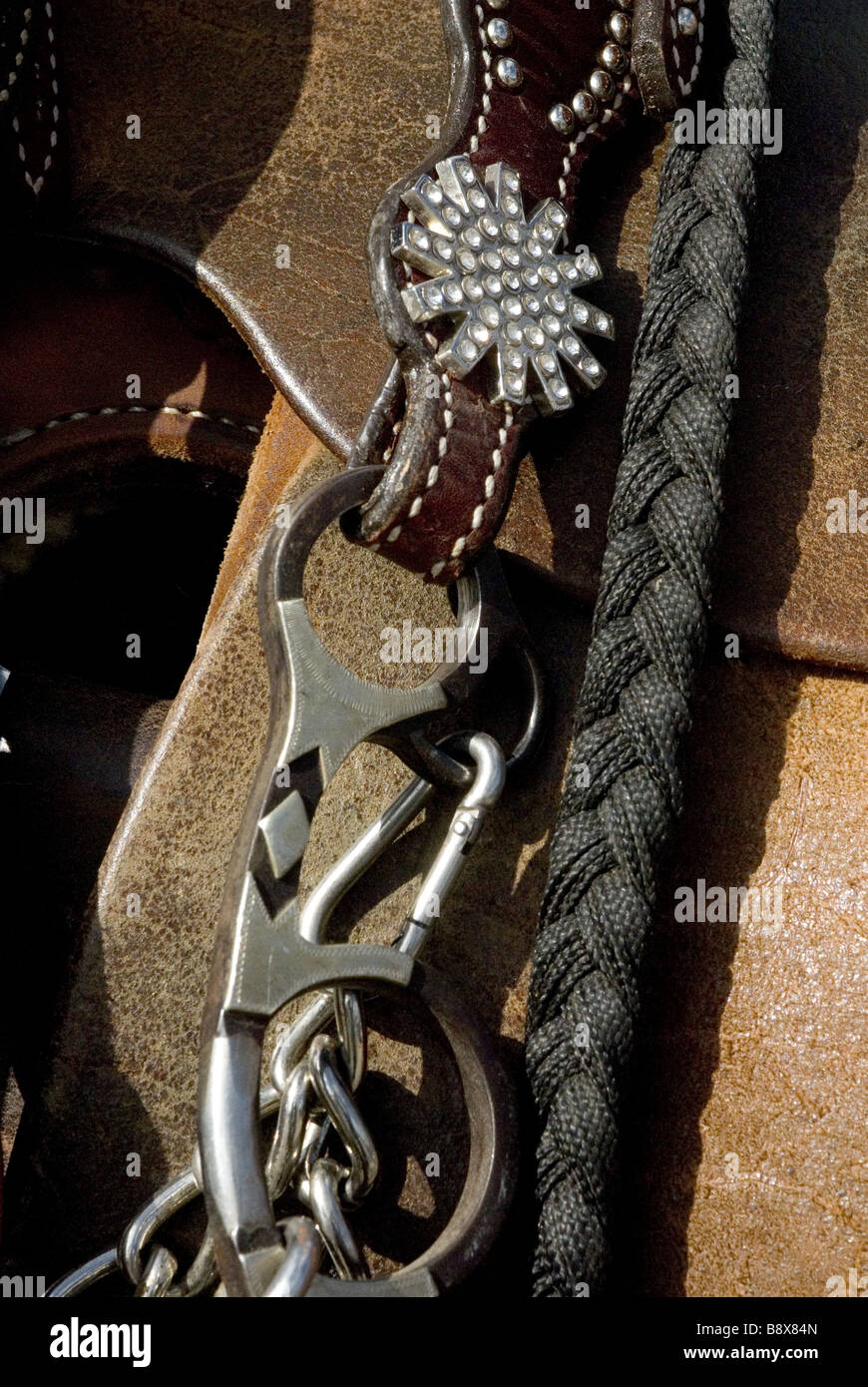 Fancy saddle hi-res stock photography and images - Alamy