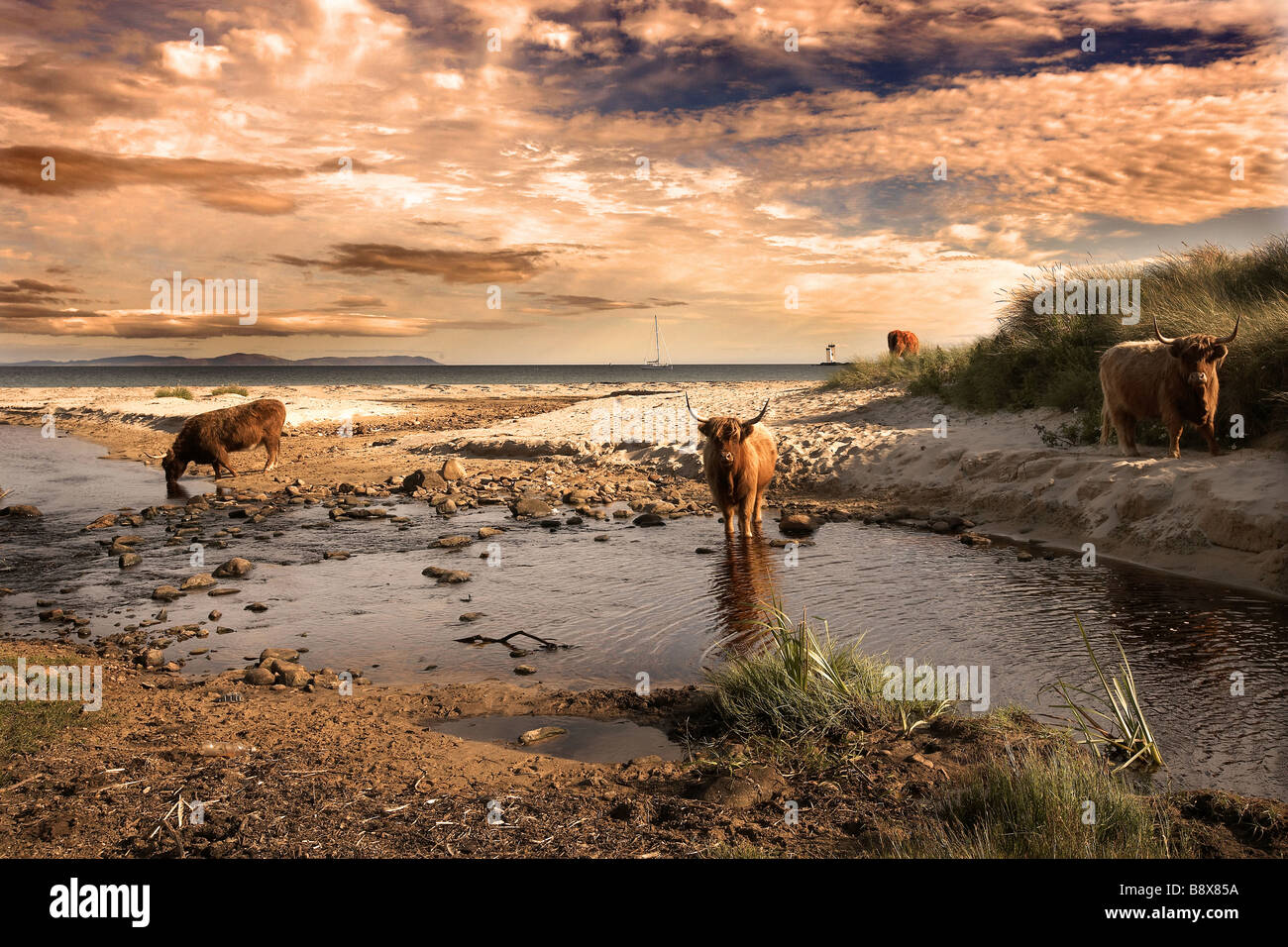 Kilnaughton bay hi-res stock photography and images - Alamy