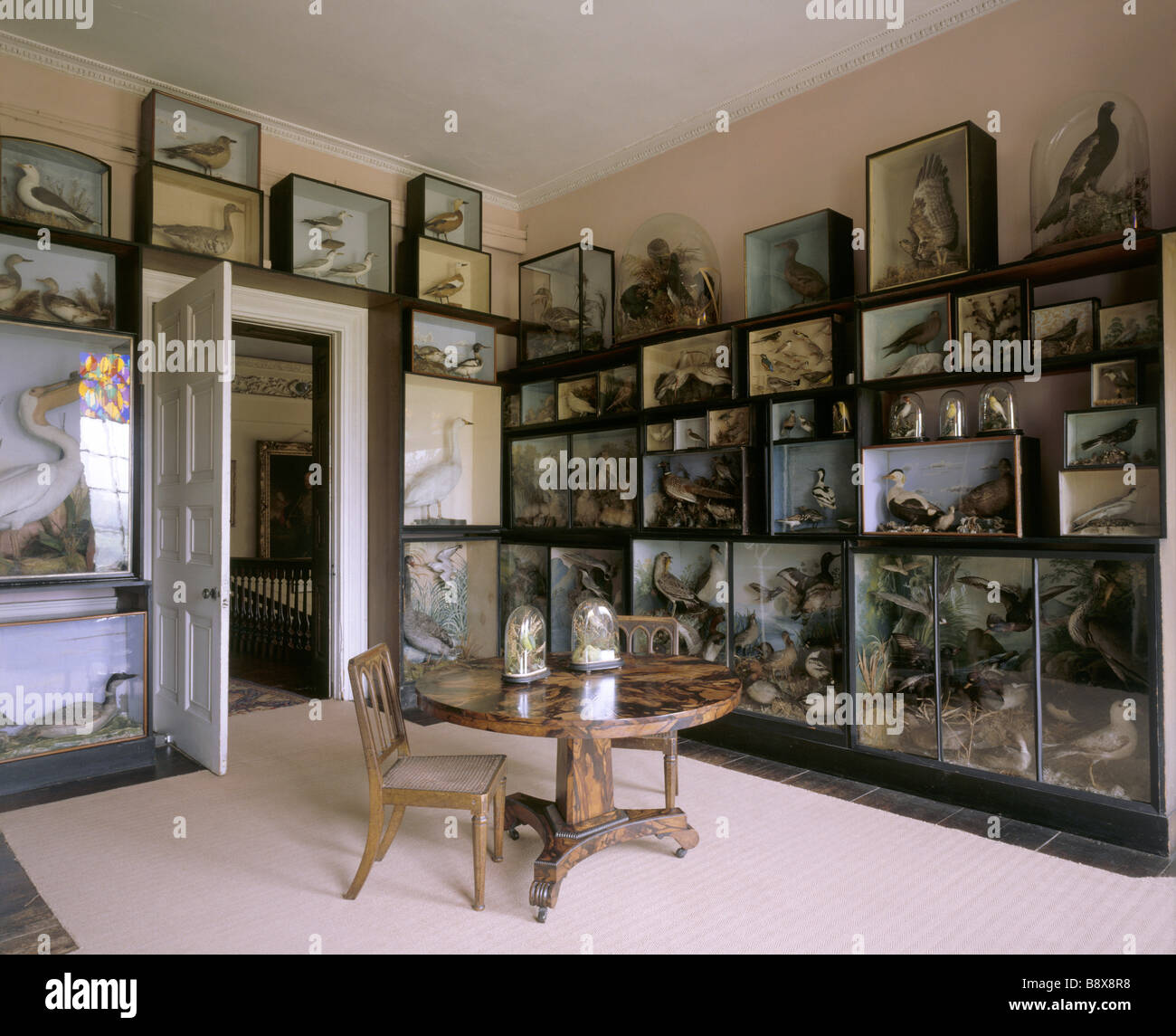 Calke abbey interior hi-res stock photography and images - Alamy
