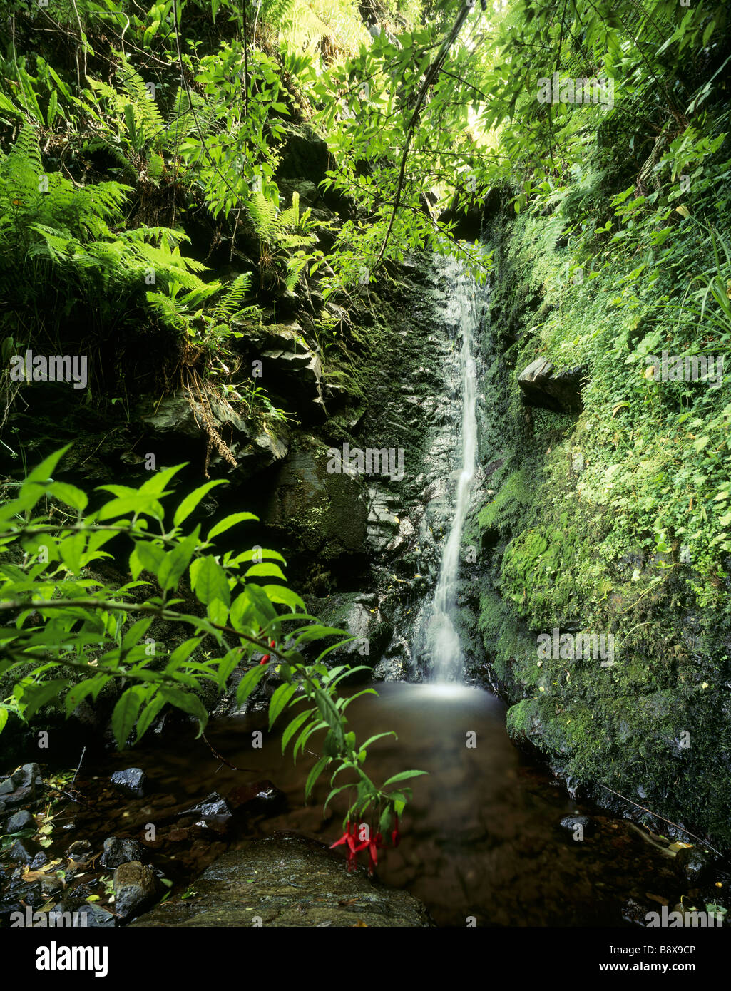 Fair Head & Murlough Bay Stock Photo - Alamy