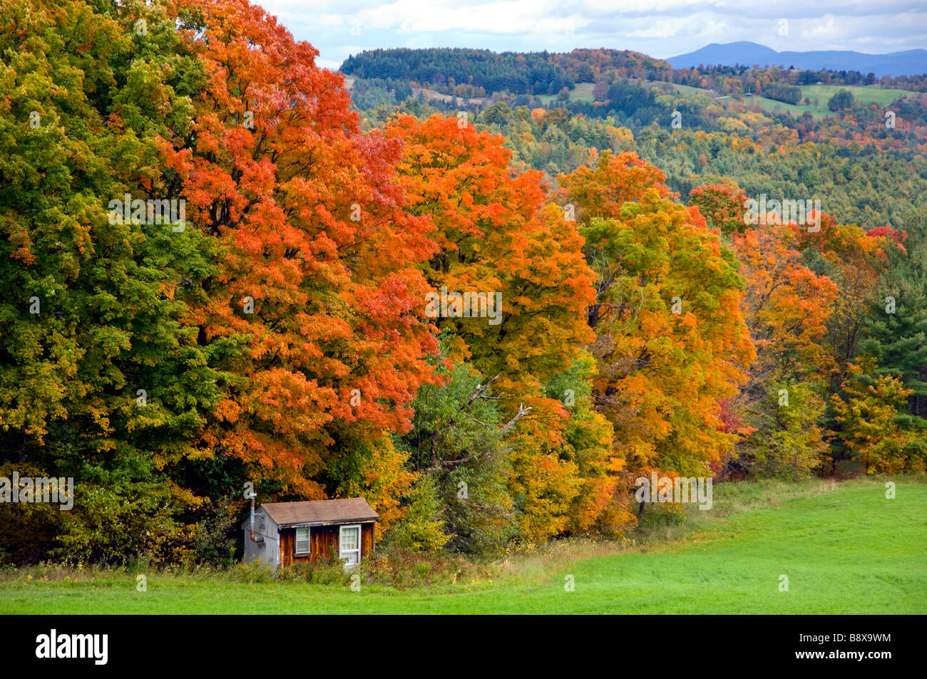 Fall foliage pasture with maple trees and a sugar shack in rural ...