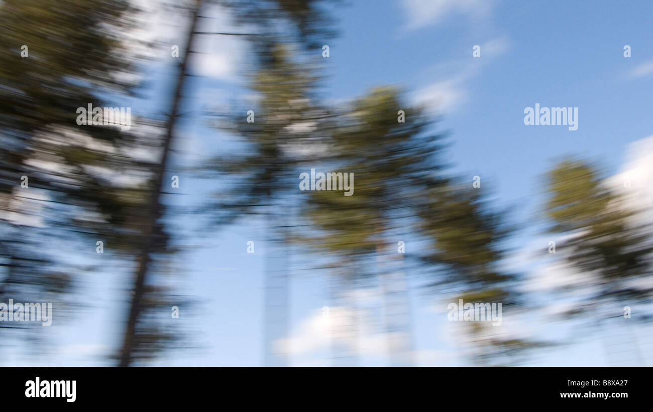 English trees sway hi-res stock photography and images - Alamy