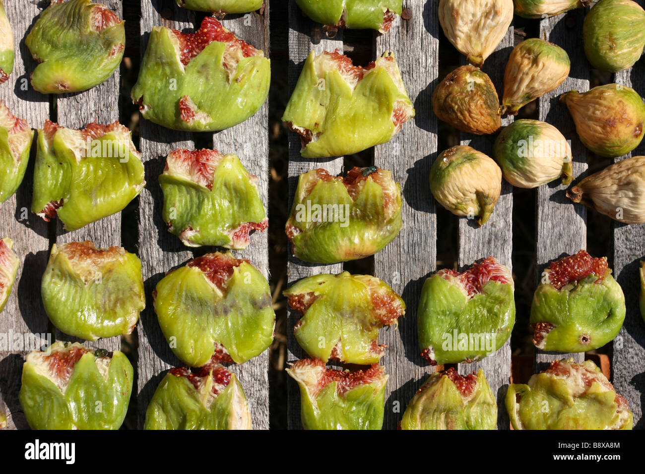 Drying figs on Prvic Island Croatia Stock Photo - Alamy