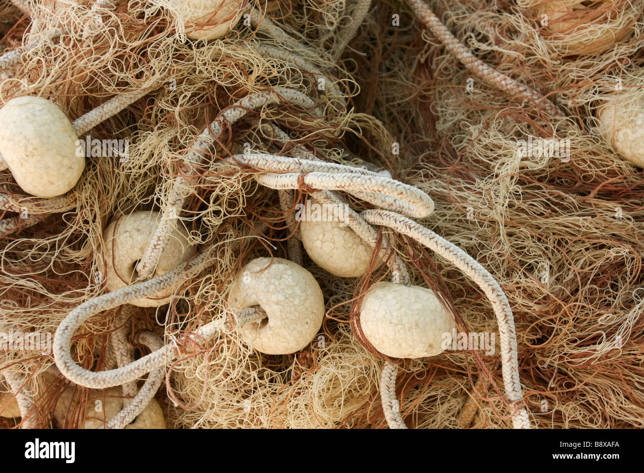 Tangle net hi-res stock photography and images - Alamy